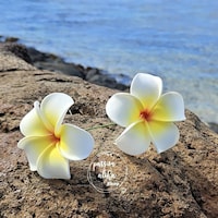 Mareva Lauhala Hair Clip (laufala/lo'akau/rauara) - Etsy
