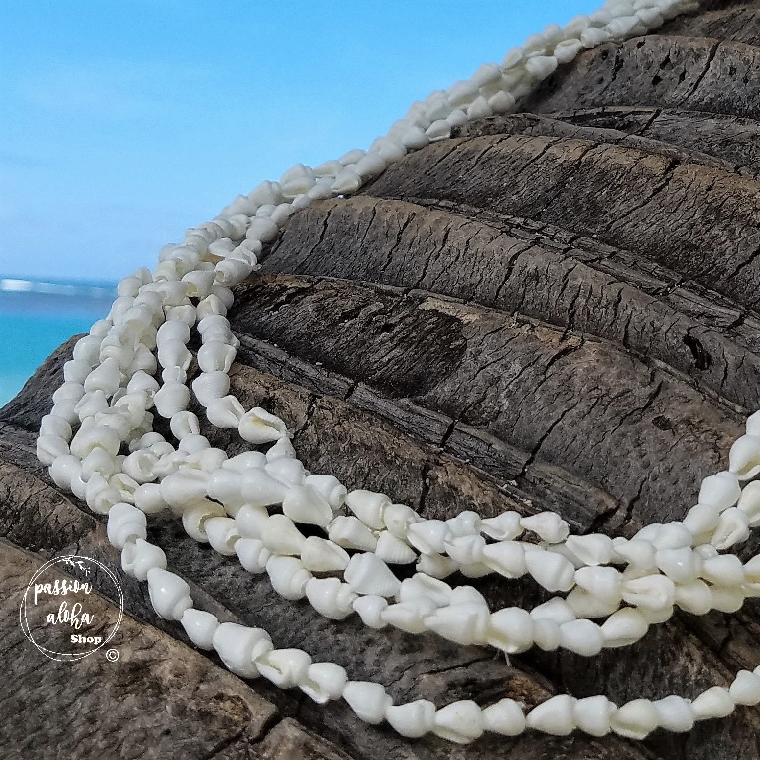 Maui 6 Strand Nasa White Seashells Hawaiian Lei Bundle Sea - Etsy