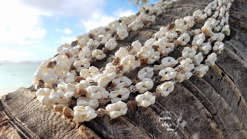 Hawaiian Lei, Seashell Lei, Seashell Necklace, Multilayer Necklace ...