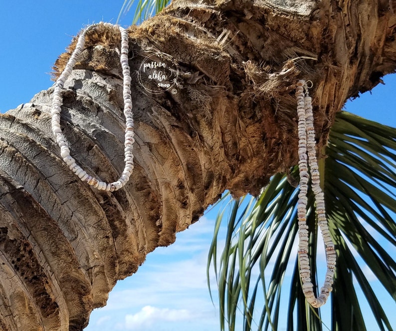 Tiger Puka Shell Necklace Seashell Necklace Hawaiian - Etsy