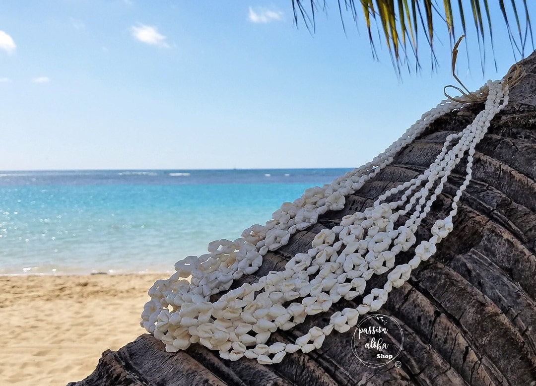 Maui 6 Strand Nasa White Seashells Hawaiian Lei Bundle, Seashell ...