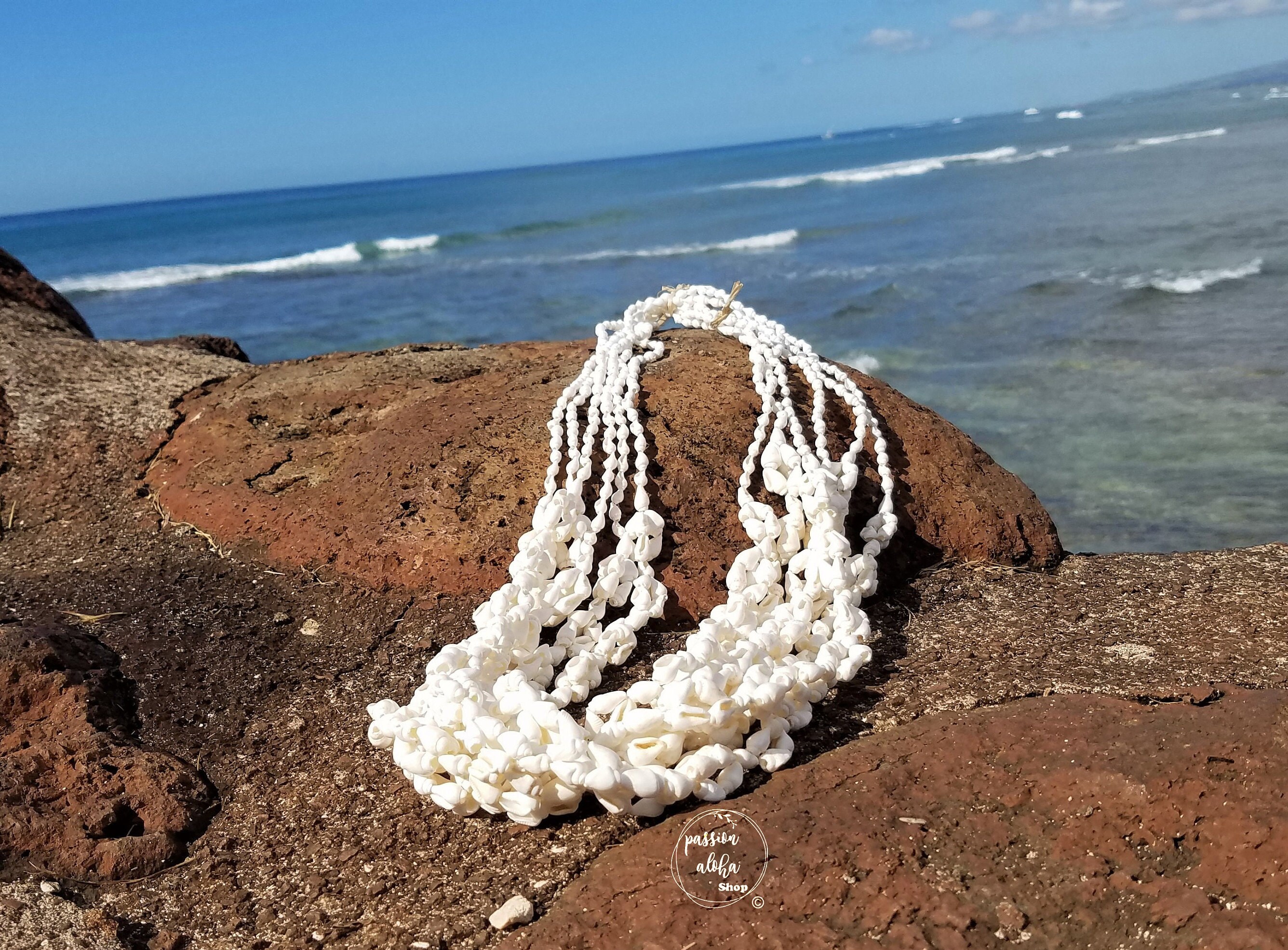 Maui 6 Strand Nasa White Seashells Hawaiian Lei Bundle - Etsy