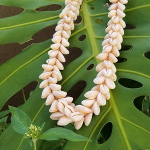 Cowrie Seashells Lei, Hawaiian Lei, Wedding Lei, Vintage Necklace ...
