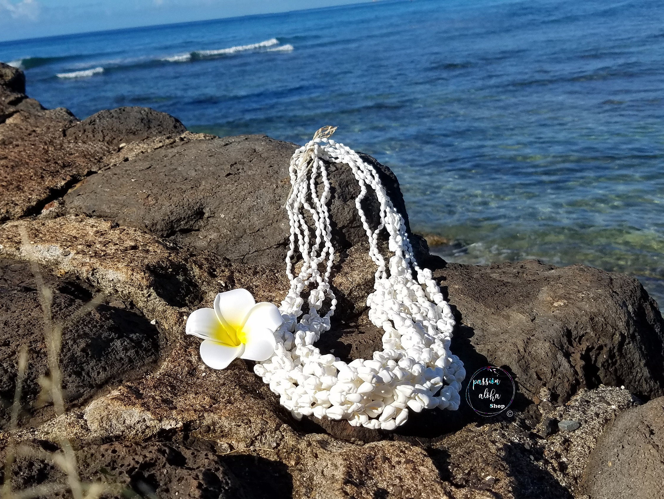Maui 6 Strand Nasa White Seashells Hawaiian Lei Bundle - Etsy