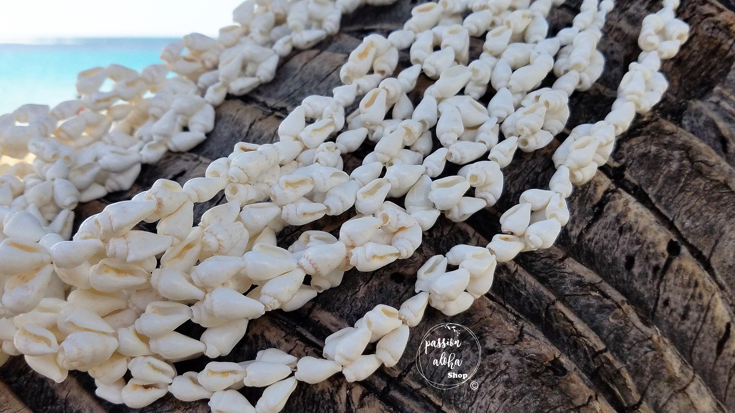 Maui 6 Strand Nasa White Seashells Hawaiian Lei Bundle - Etsy