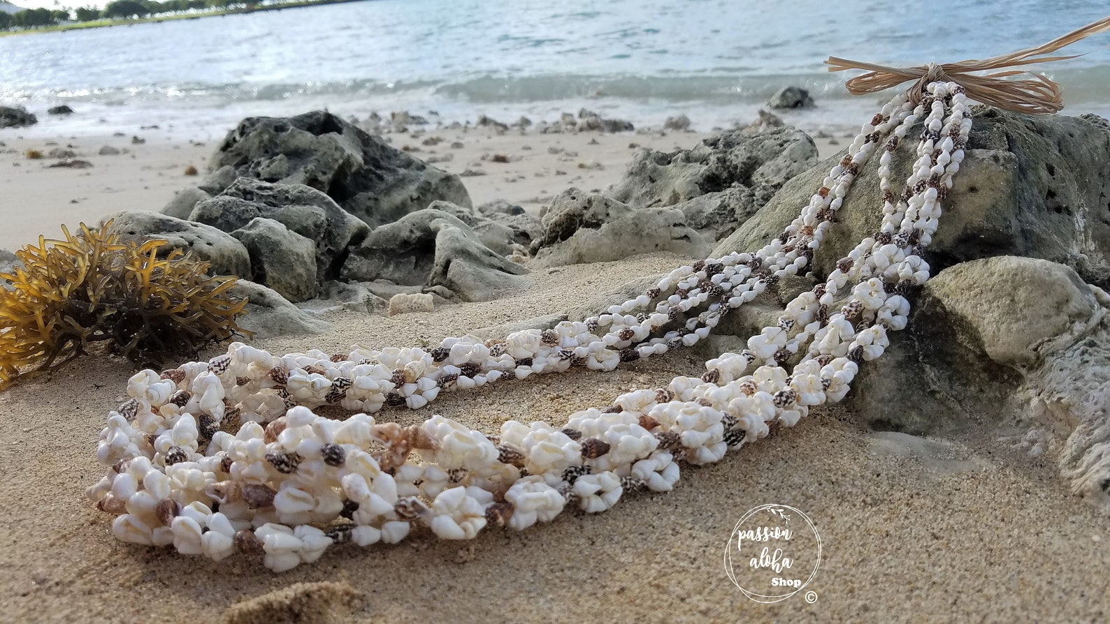 Hawaiian Lei Seashell Lei Seashell Necklace Multilayer | Etsy