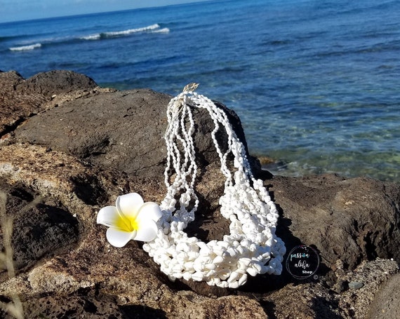 Maui 6 Strand Nasa White Seashells Hawaiian Lei Bundle - Etsy