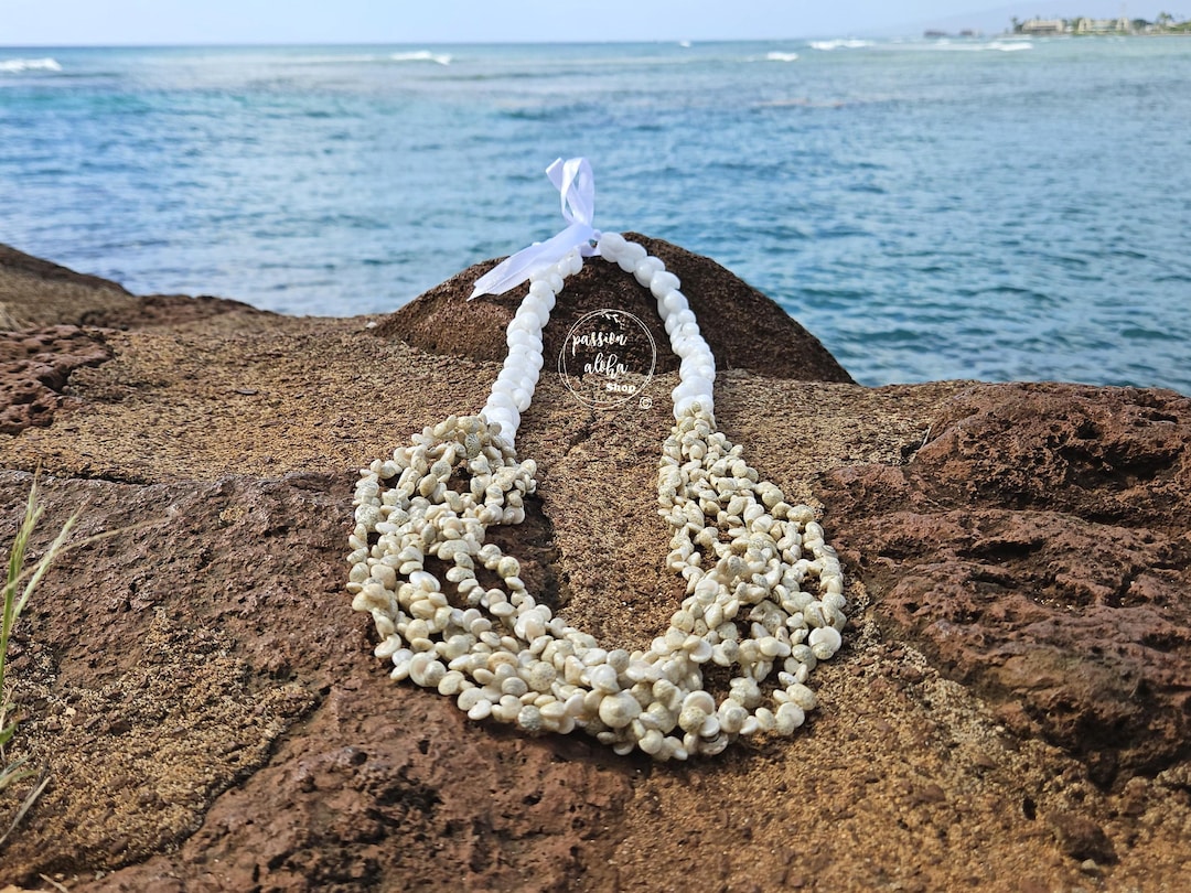 Bubble Shell With Umbonium Shell Lei, Seashell Necklace, Multilayer ...