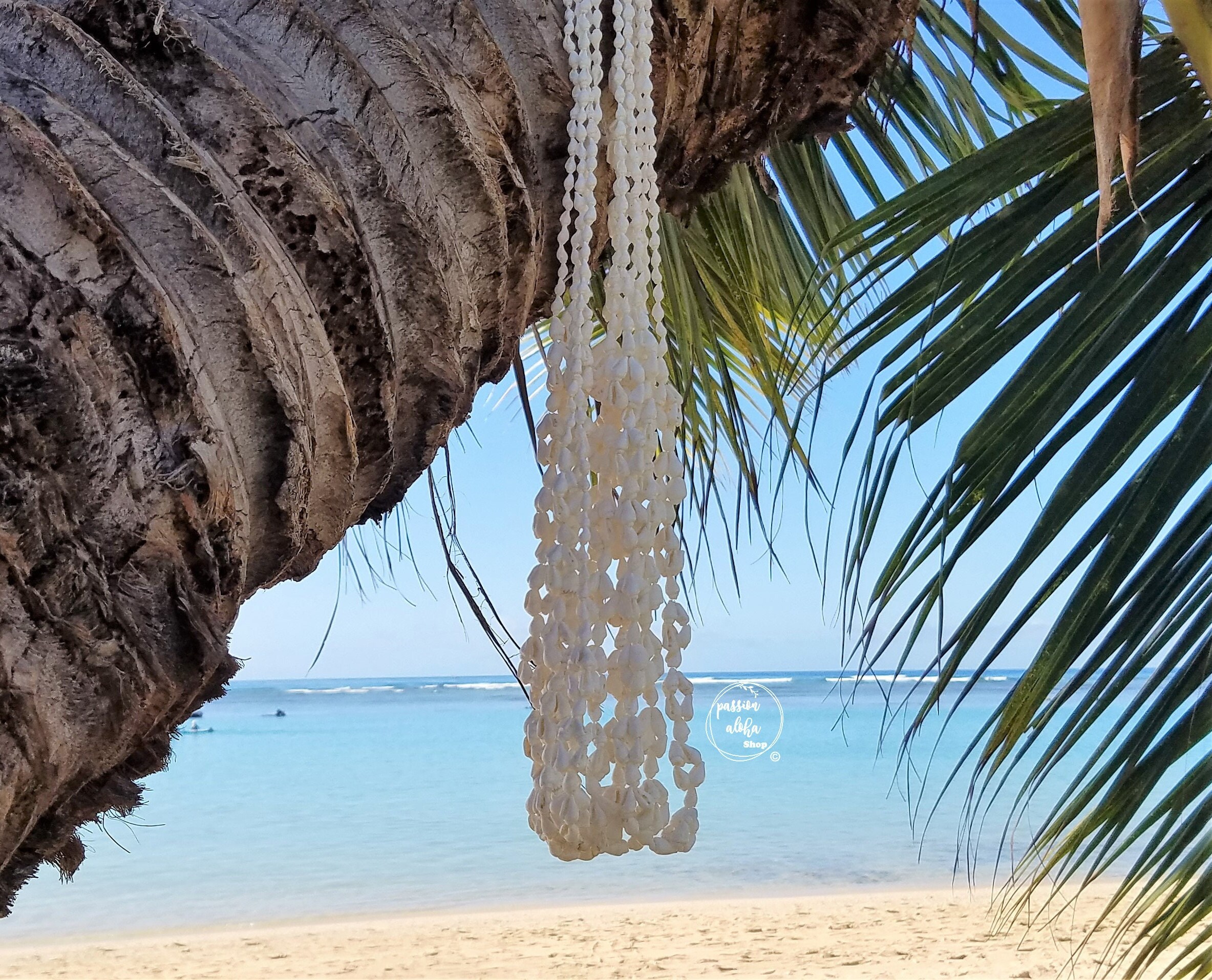 Maui 6 Strand Nasa White Seashells Hawaiian Lei Bundle - Etsy
