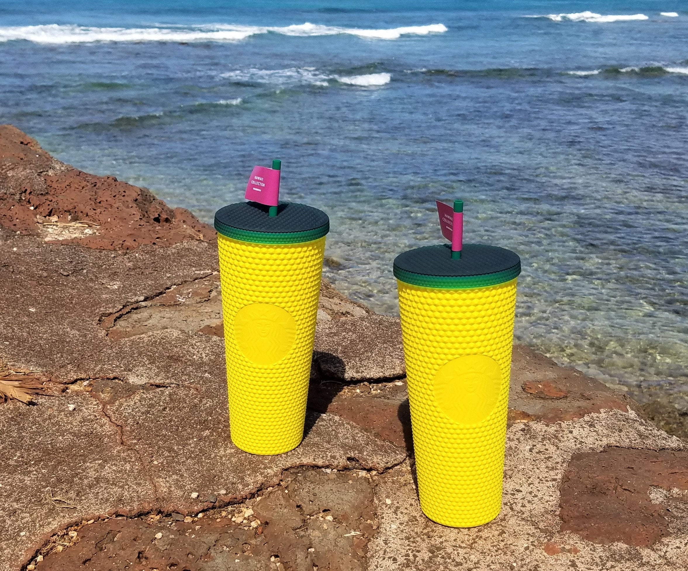 Starbucks Hawaii Collection Exclusive Pineapple Studded | Etsy