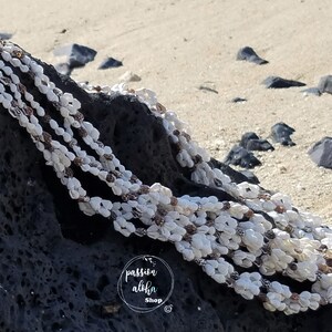 Hawaiian Lei, Seashell Lei, Seashell Necklace, Multilayer Necklace ...