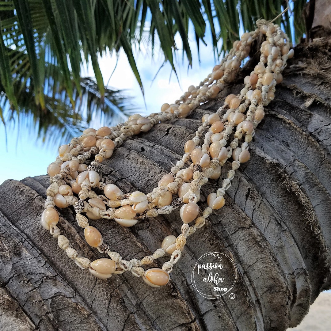 Kauai 6 Strand Seashells Hawaiian Lei Bundle,polynesian Lei,multistrand ...