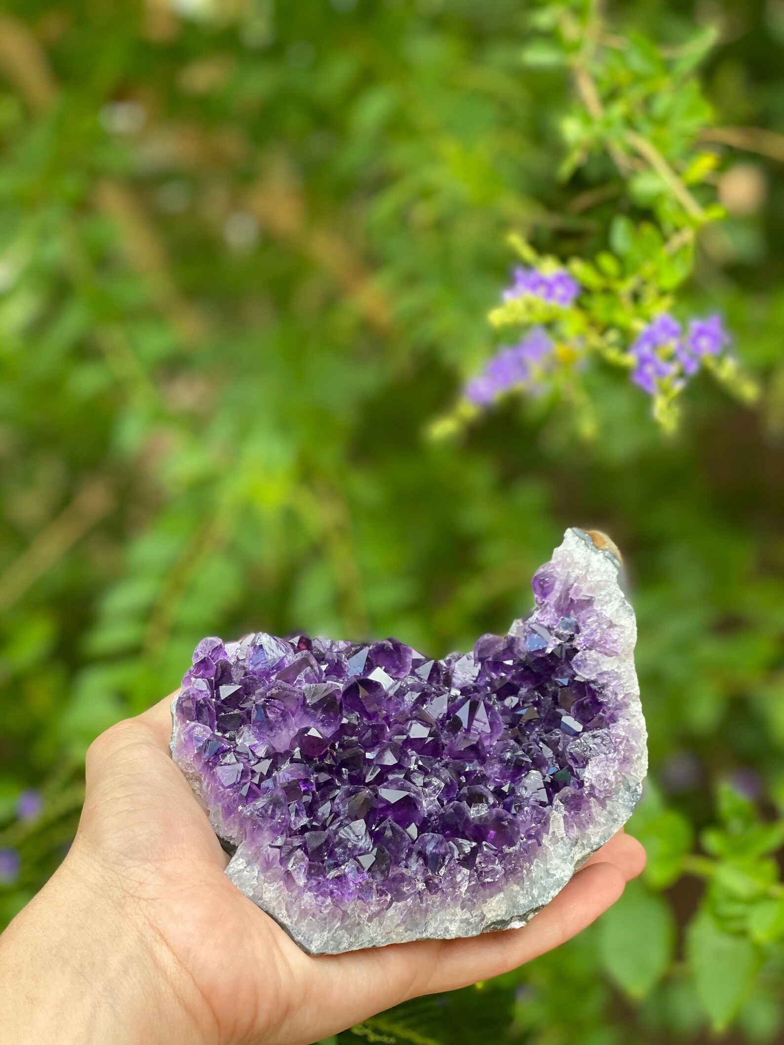 Raw Amethyst Base 1 Lb 11 Oz Purple Amethyst Amethyst Base | Etsy