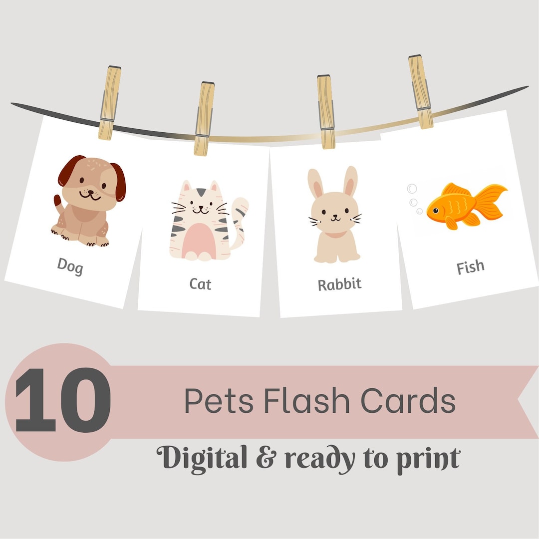 Pets Flash Cards - Digital Download (printable) - Etsy