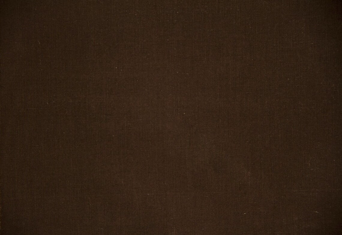 90" Patches Brown Cheater's Quilt Fabric & Solid Backing Fabric - Twin ...