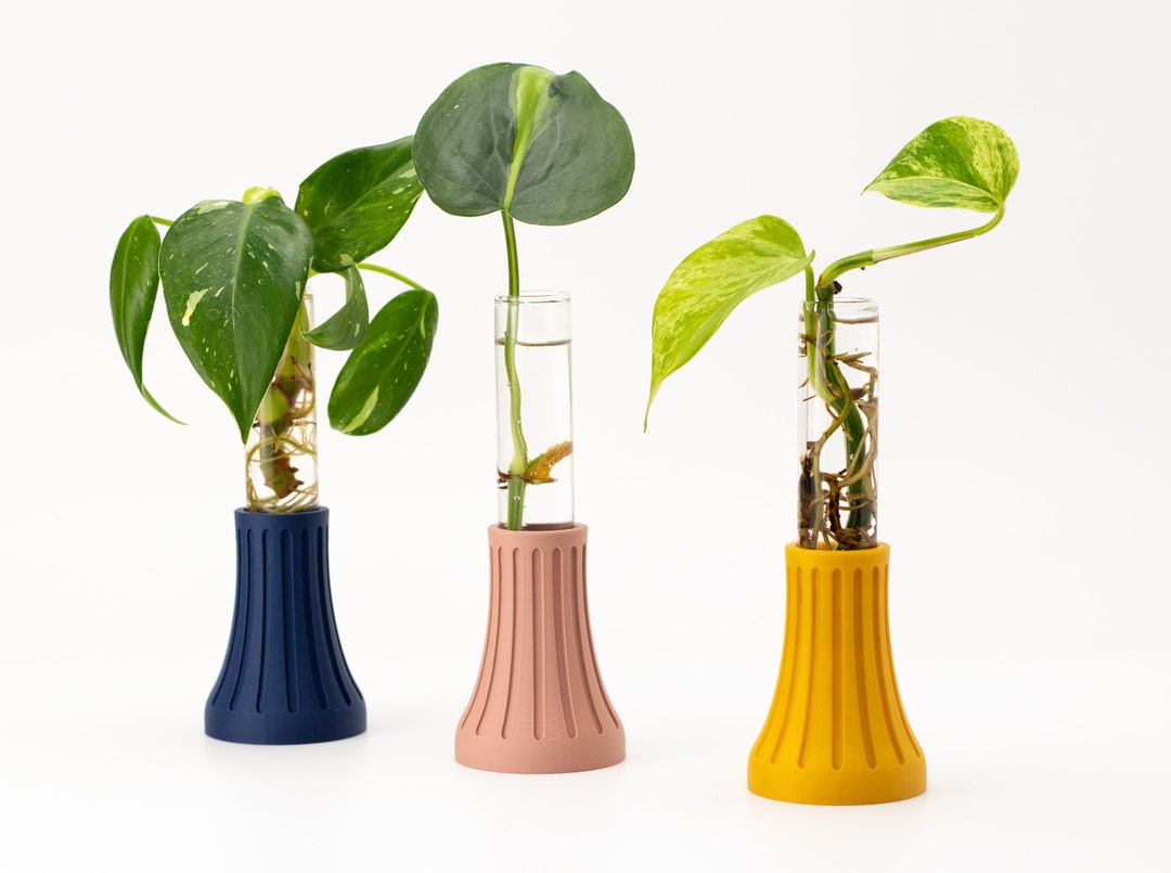 Bud Vase, Plant Propagation Holder, Plant Vase, Wedding Flower Table ...