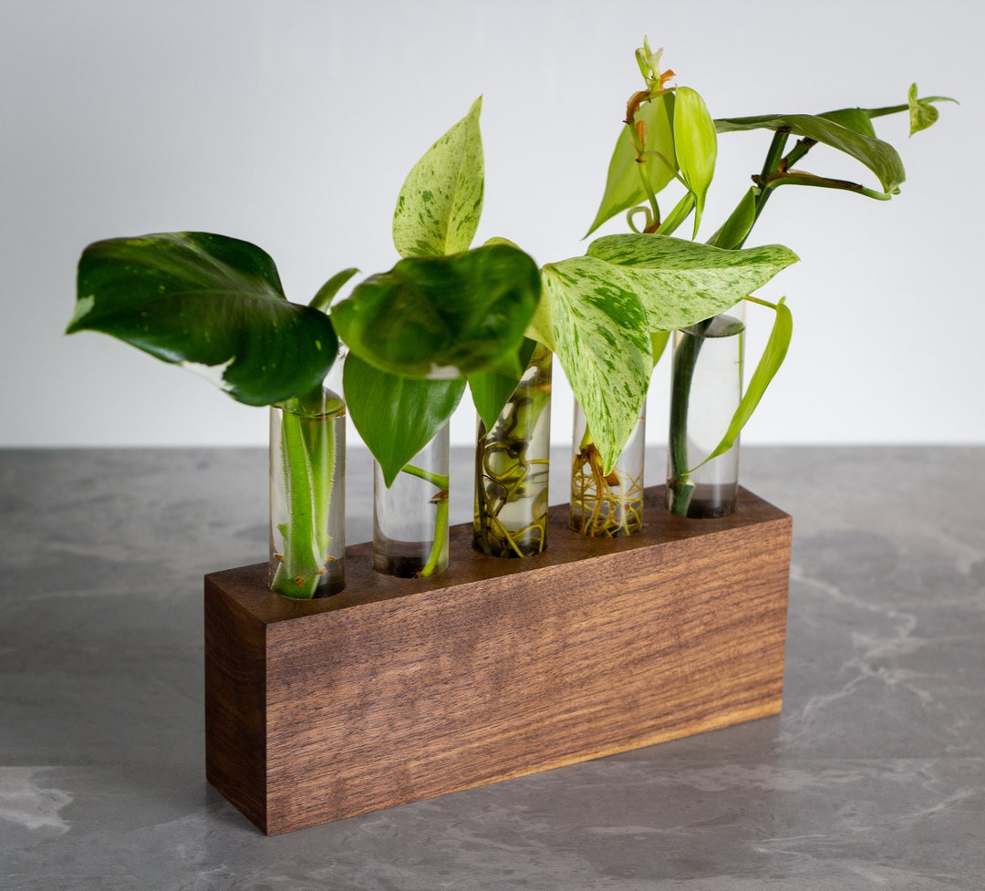 Solid Walnut Plant Propagation Station | Wooden Planter | Wedding ...