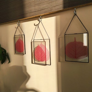 Herbarium Set of 3 Pressed Leaf Skeleton Frame, Pressed Botanical Art ...