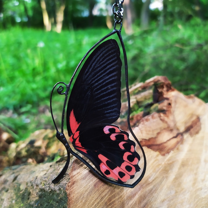 Real Butterfly Wing - Etsy