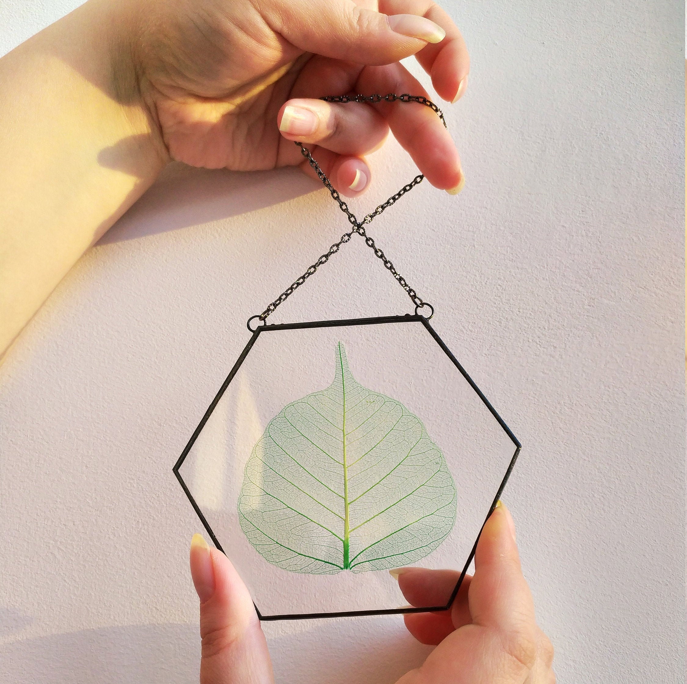 Stained Glass Frame Real Leaf Skeleton, Pressed Plant Frame Hexagon ...