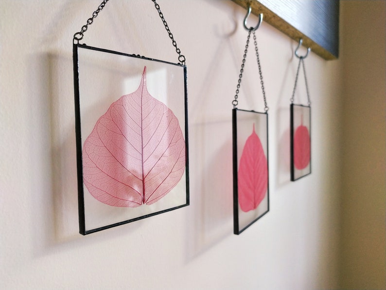 Herbarium Set of 3 Pressed Leaf Skeleton Frame Pressed | Etsy