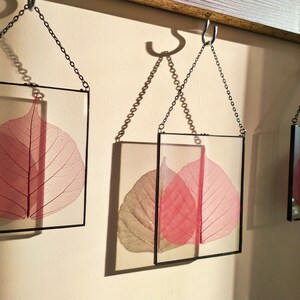 Herbarium Set of 3 Pressed Leaf Skeleton Frame, Pressed Botanical Art ...