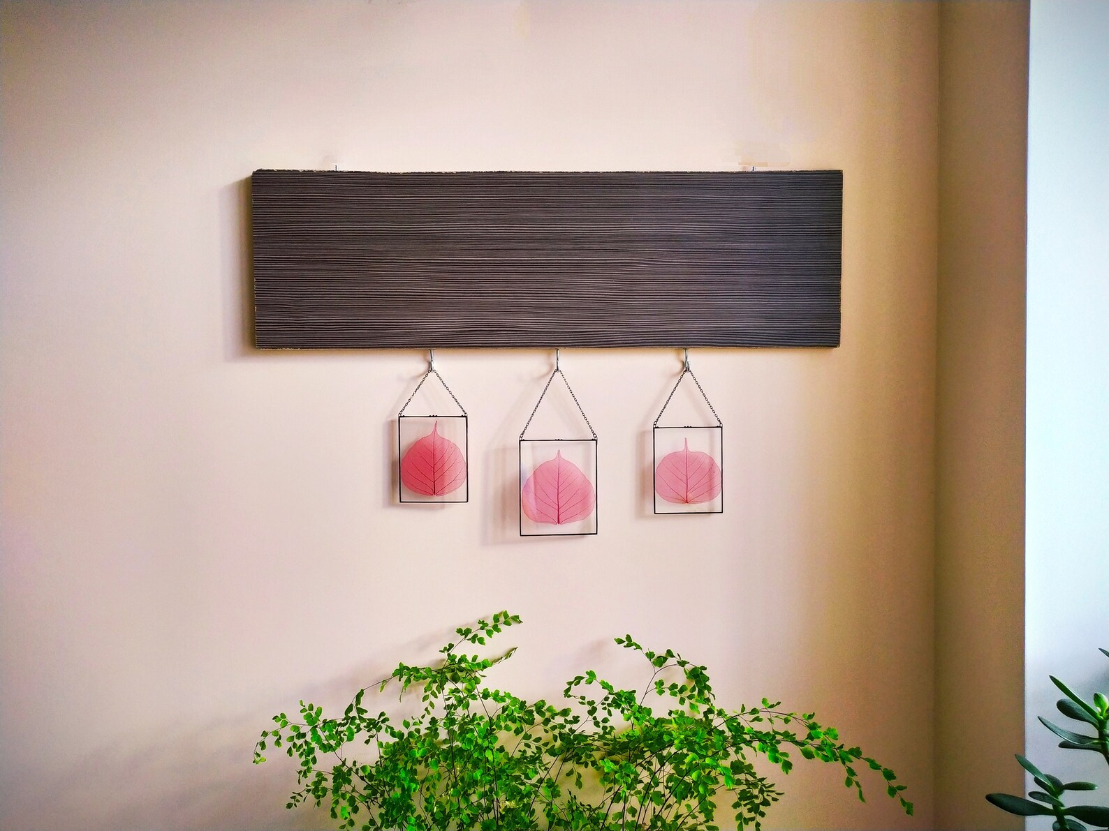 Herbarium Set of 3 Pressed Leaf Skeleton Frame Pressed | Etsy