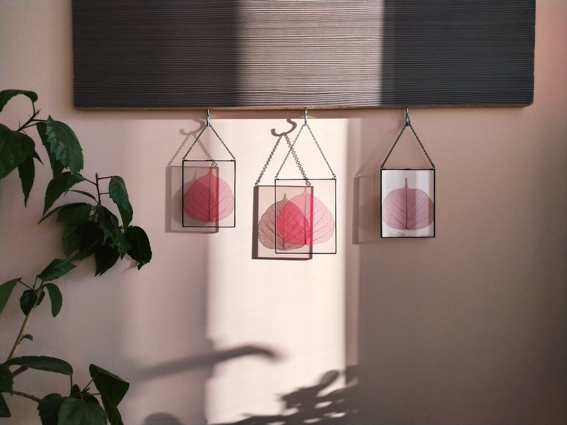 Herbarium Set of 3 Pressed Leaf Skeleton Frame Pressed | Etsy