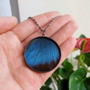 Real Butterfly Morpho Necklace Stained Glass Jewelry, Terrarium ...