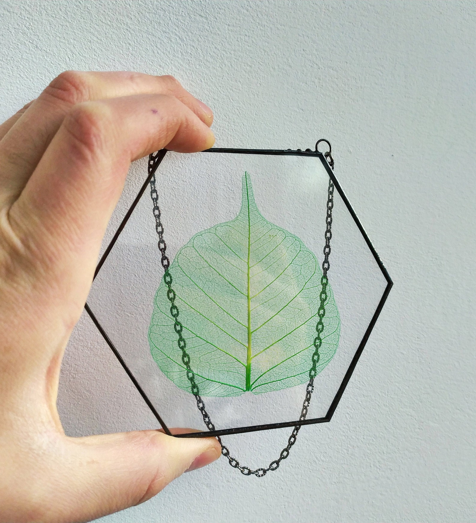 Stained Glass Frame Real Leaf Skeleton Pressed Plant Frame | Etsy