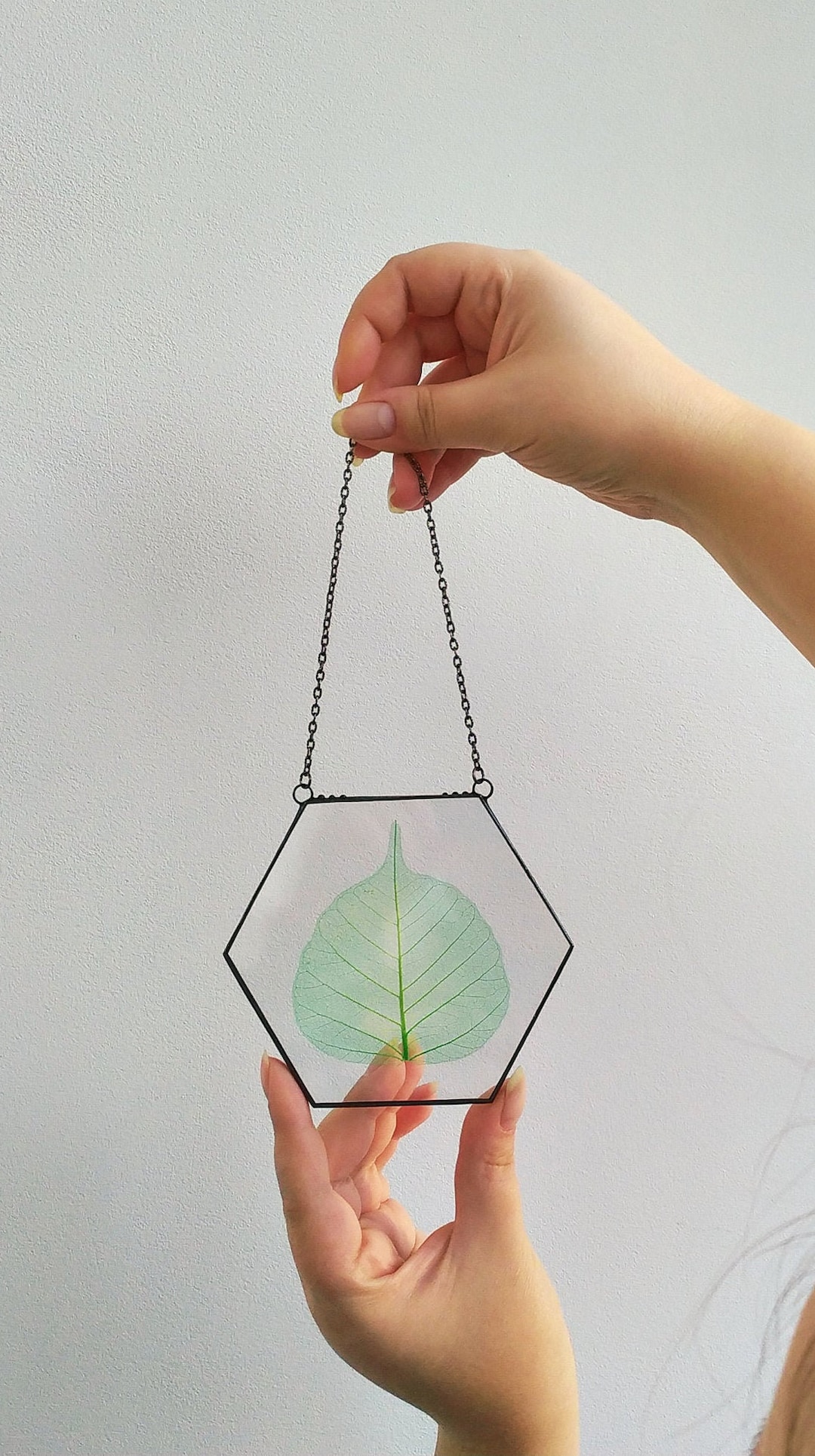 Stained Glass Frame Real Leaf Skeleton, Pressed Plant Frame Hexagon ...