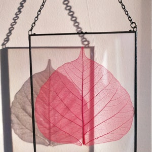 Herbarium Set of 3 Pressed Leaf Skeleton Frame, Pressed Botanical Art ...