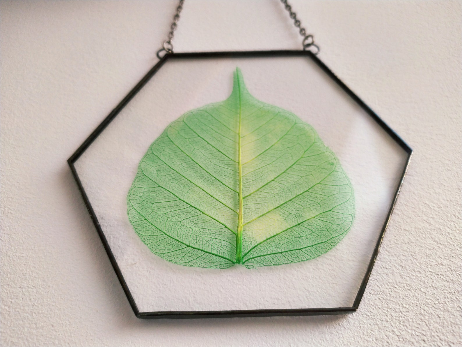 Stained Glass Frame Real Leaf Skeleton Pressed Plant Frame | Etsy