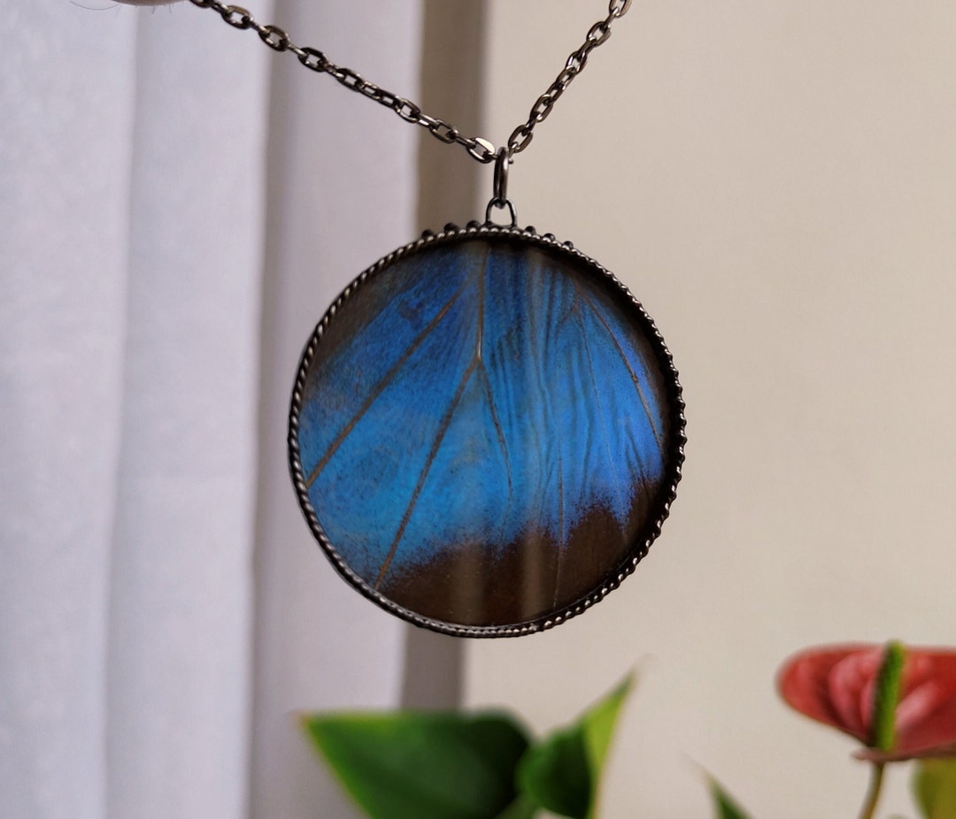 Real Butterfly Morpho Necklace Stained Glass Jewelry, Terrarium ...