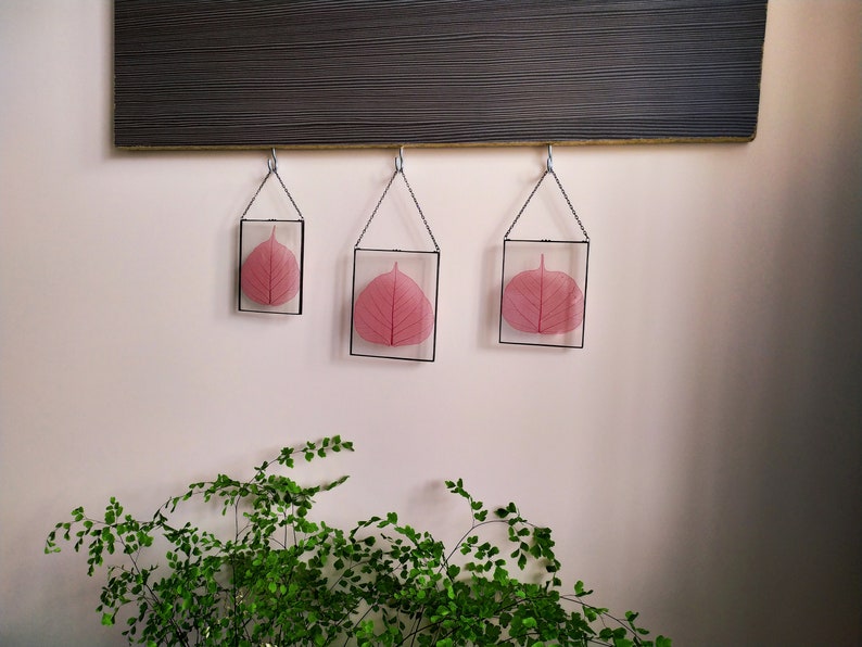 Herbarium Set of 3 Pressed Leaf Skeleton Frame Pressed | Etsy