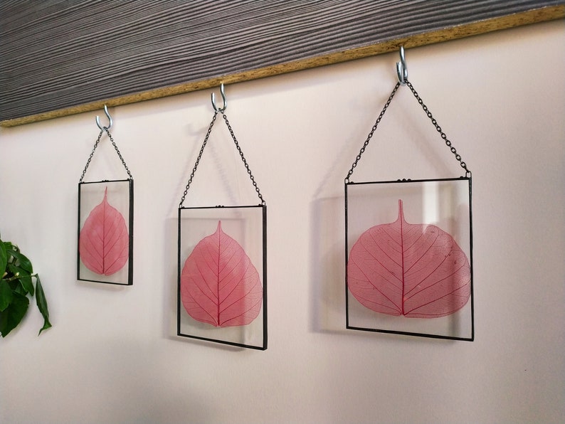 Herbarium Set of 3 Pressed Leaf Skeleton Frame Pressed | Etsy