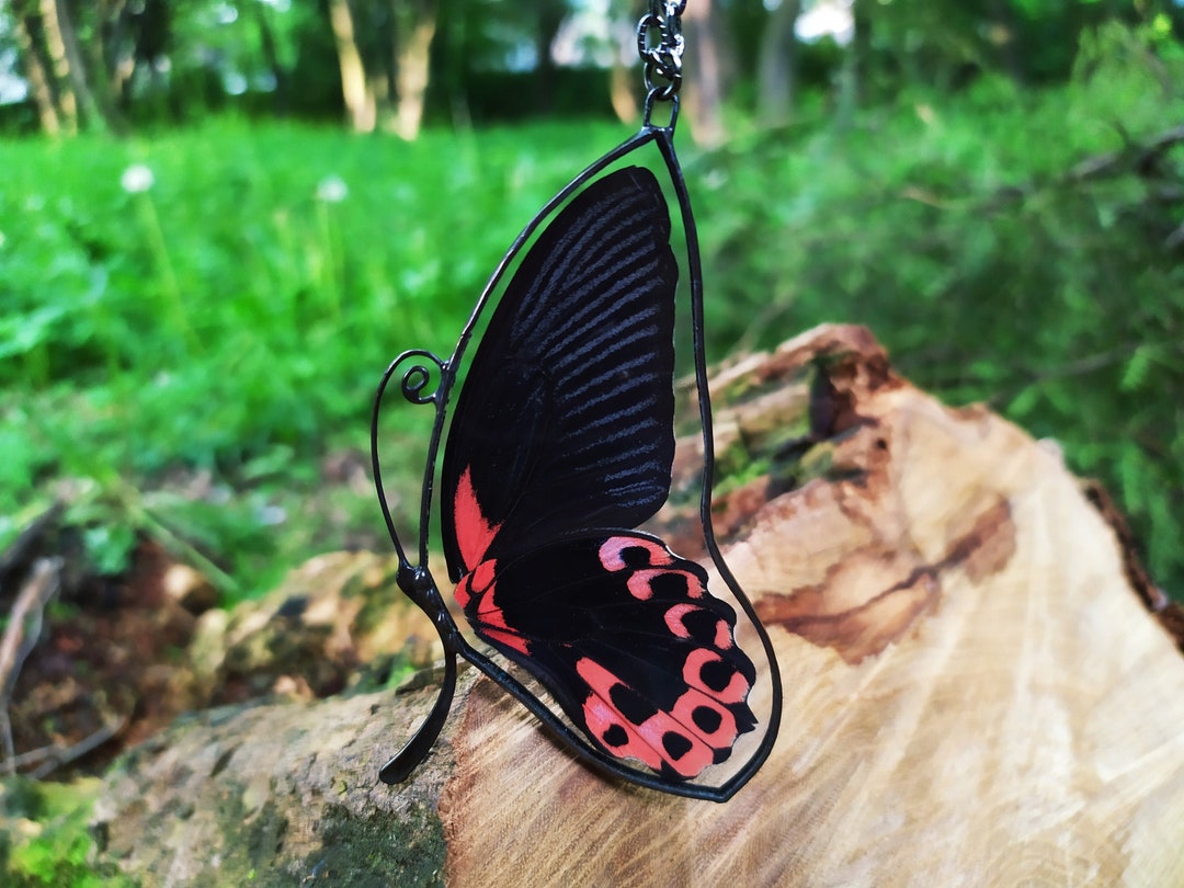 Real Butterfly Wing Necklace Butterfly Charm Real Butterfly Pendant ...