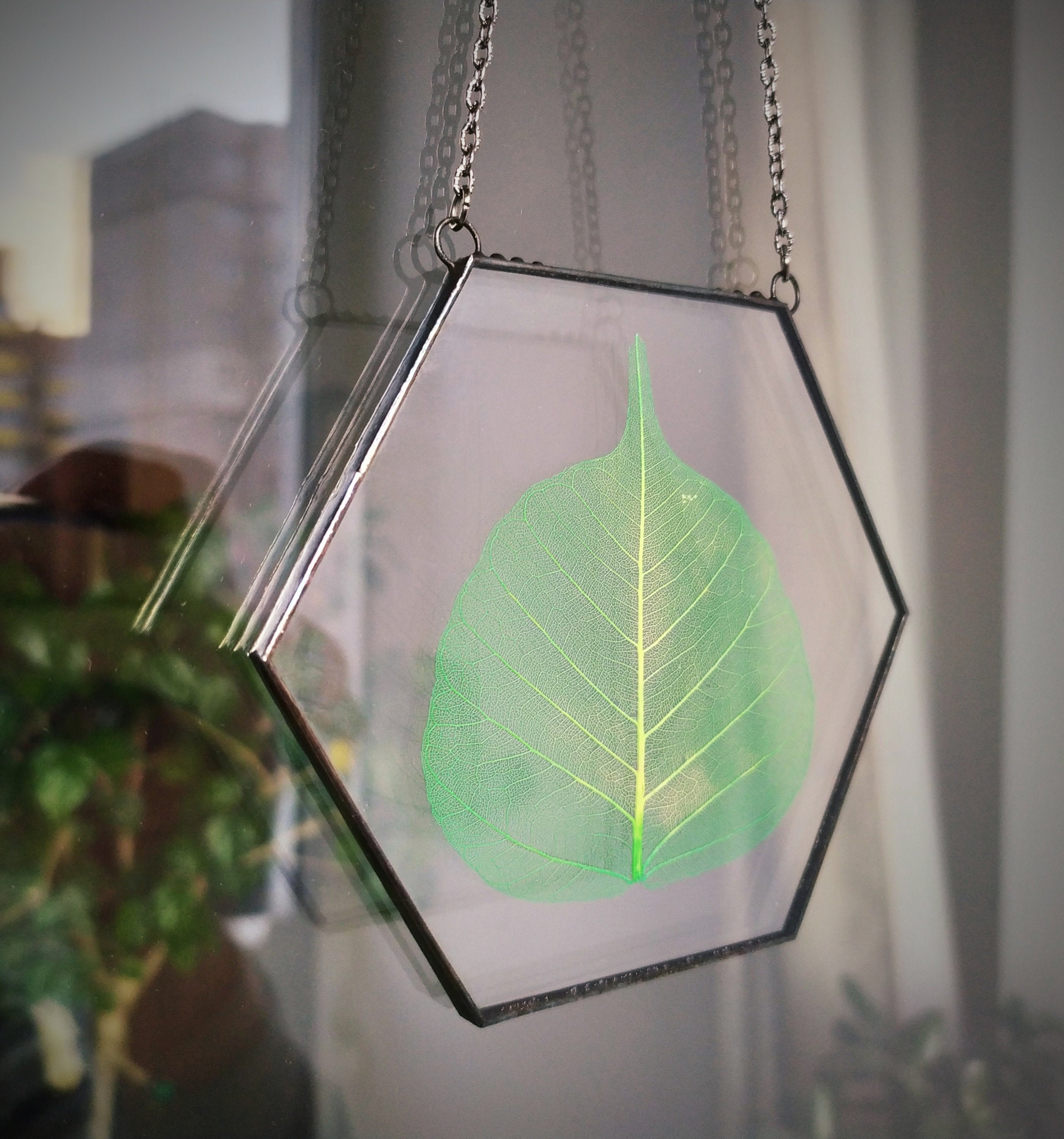 Stained Glass Frame Real Leaf Skeleton Pressed Plant Frame | Etsy