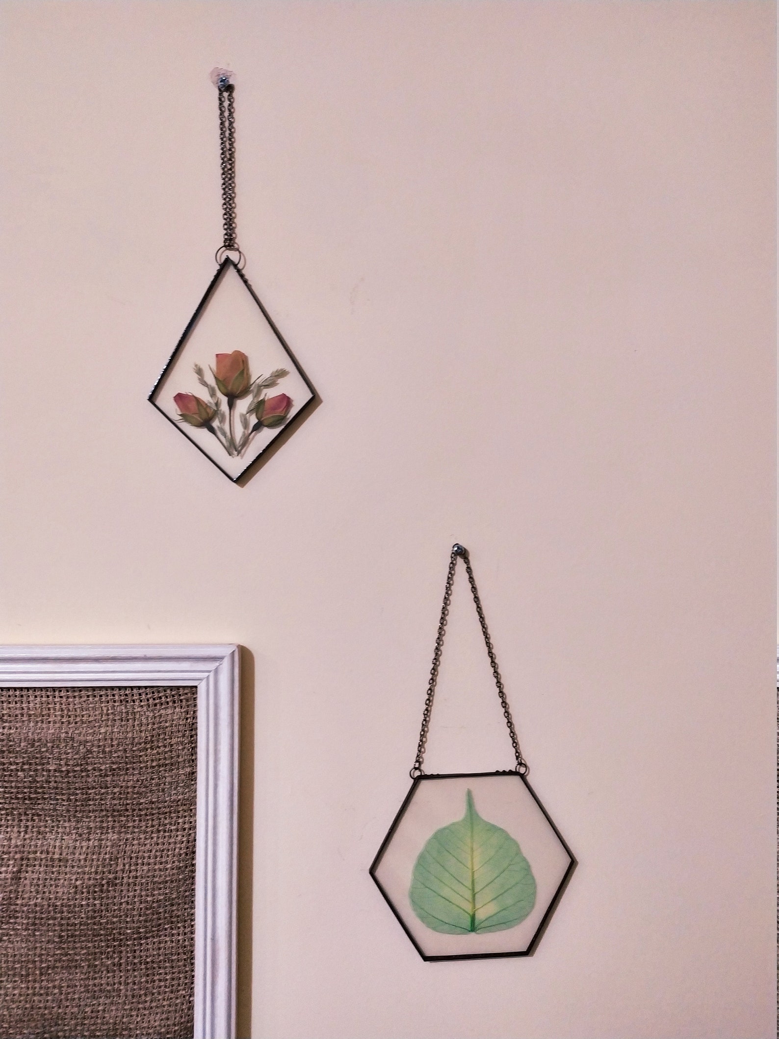 Stained glass frame Real leaf skeleton Pressed plant frame | Etsy