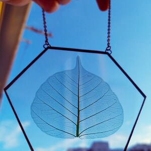 Stained Glass Frame Real Leaf Skeleton, Pressed Plant Frame Hexagon ...