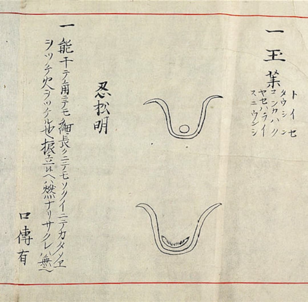 Digital Download - Meiji Era (1868-1912) Hara Ryu Makimono Bujinkan ...