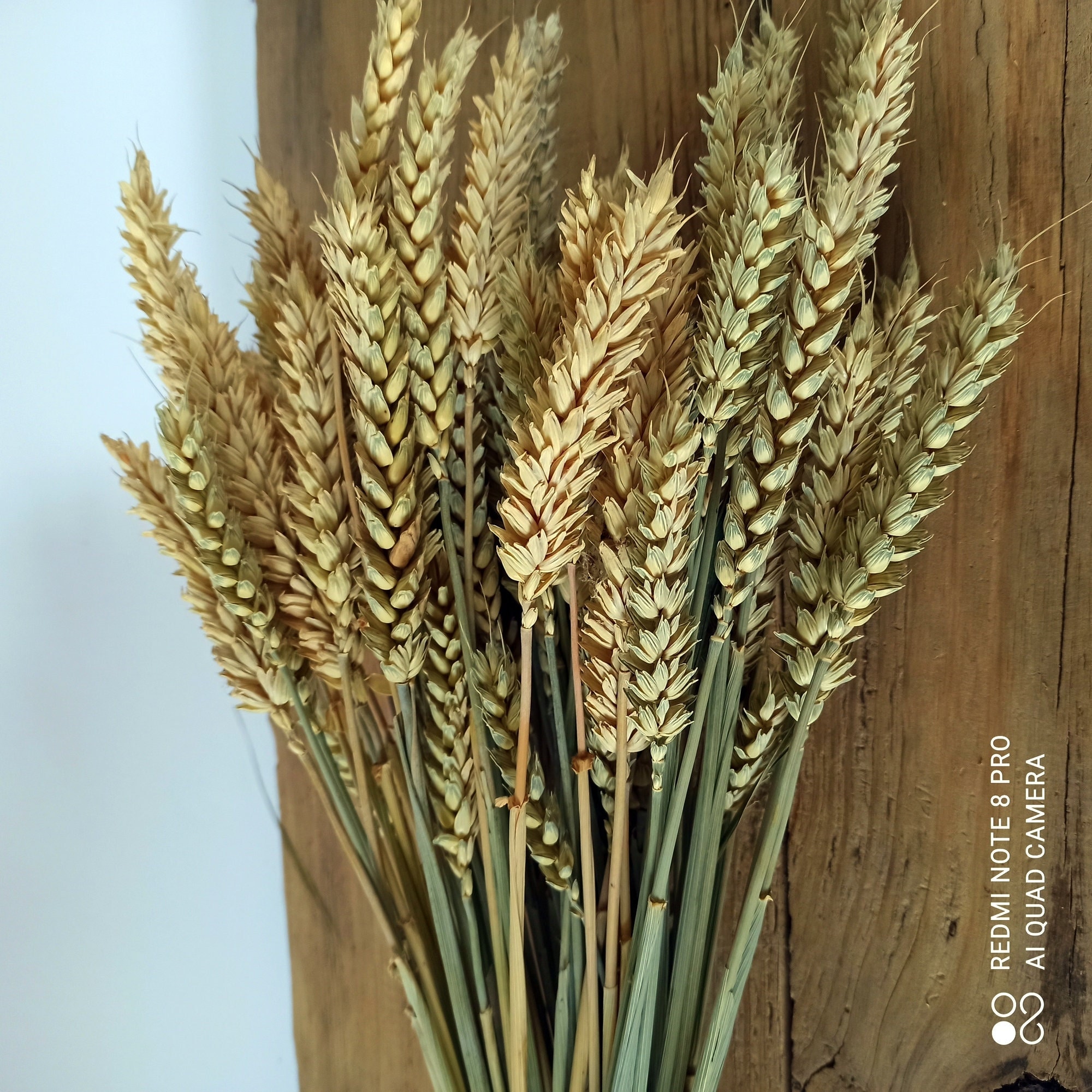 Dried Wheat Arrangements