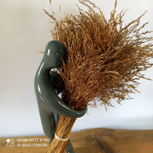 Dried Reeds - Etsy