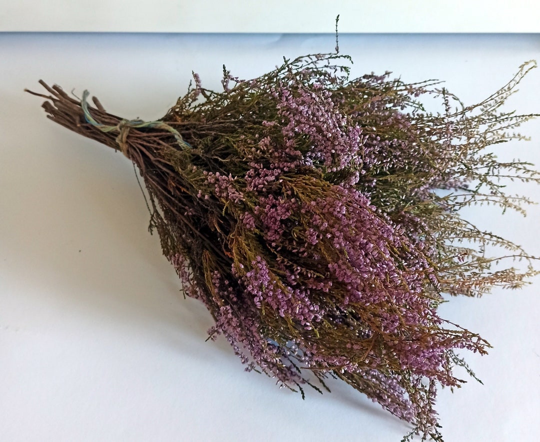 Heatherr Bouquet / Dried Heather / Dried Flower Bouquet / Heather Bunch ...