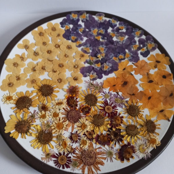Pressed Flower Art - Etsy