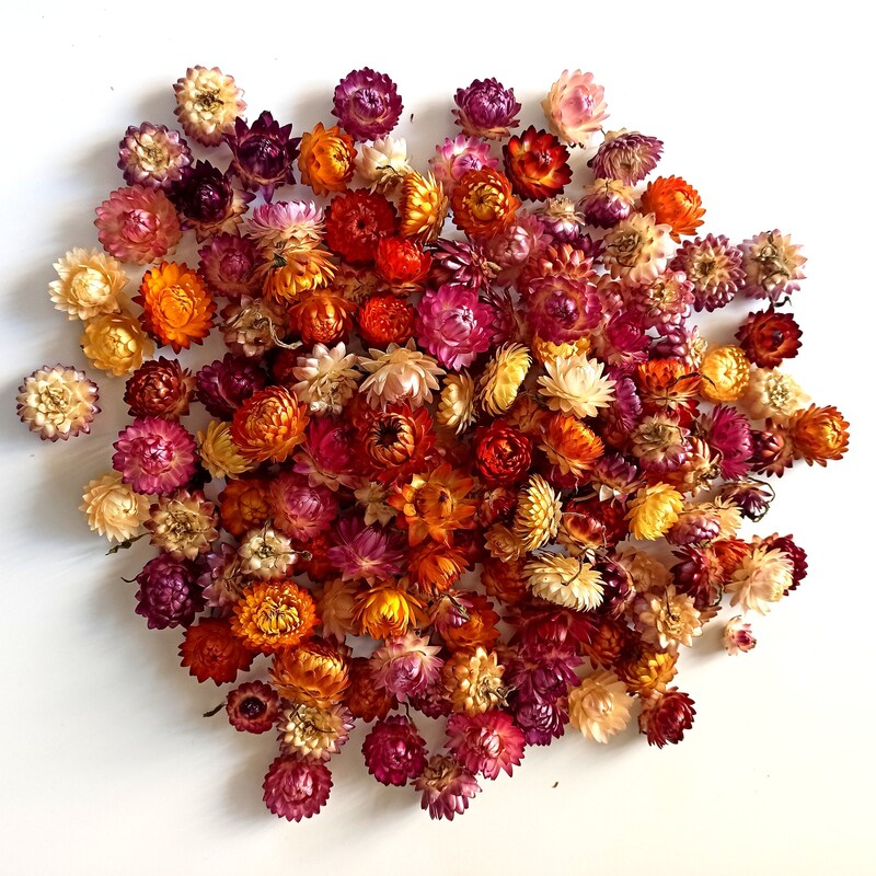 Straw Flowers - Etsy