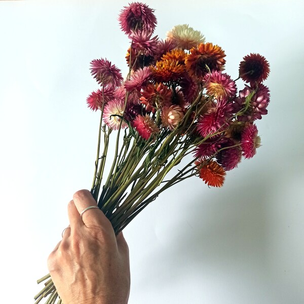 Straw Flowers - Etsy