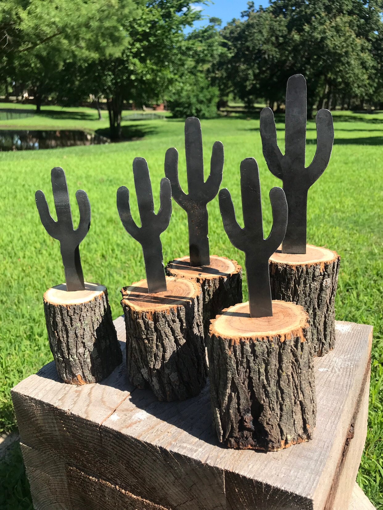 Cactus Mesquite Wood Decor | Etsy