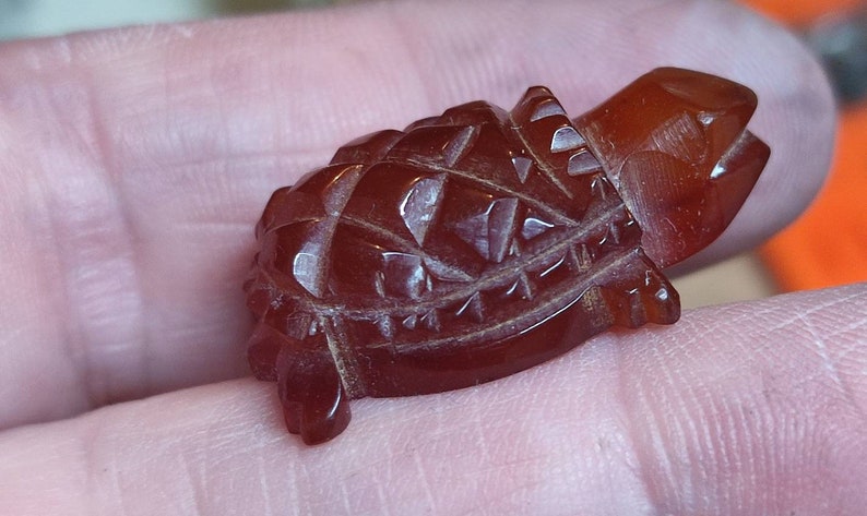 Carved Bakelite Turtle Button - Etsy