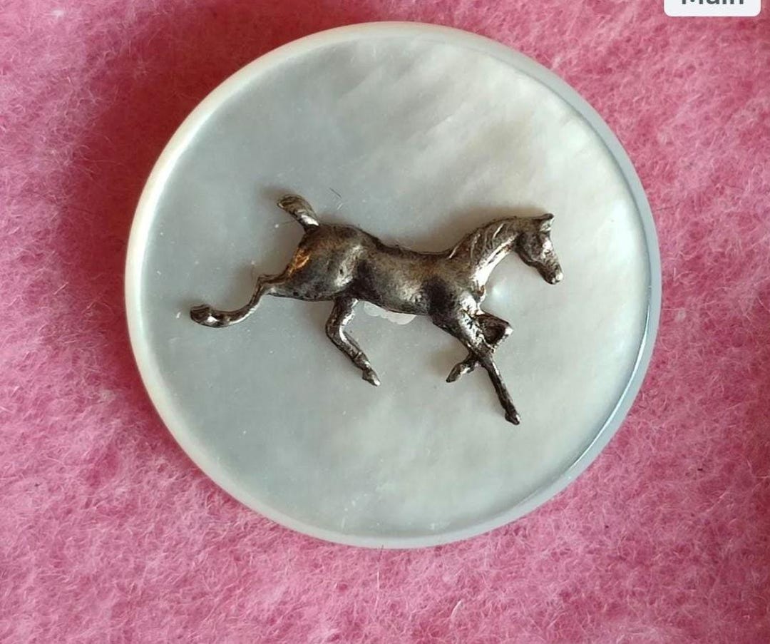 Antique Mother of Pearl Equestrian Button - Etsy